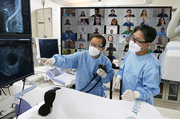 AMC Endoscopic Ultrasonography (EUS) Training Program gains ...