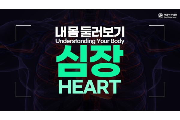 [Understanding Your Body] Heart | HEALTH | ASAN MEDICAL CENTER NEWSROOM