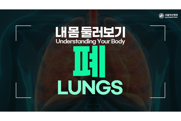 [Understanding Your Body] Lungs | HEALTH | ASAN MEDICAL CENTER NEWSROOM