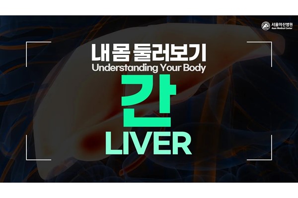 [Understanding Your Body] Liver | HEALTH | ASAN MEDICAL CENTER NEWSROOM
