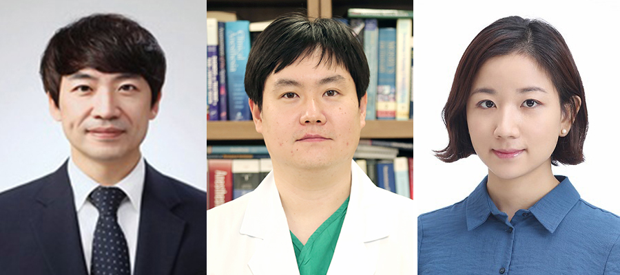 마취통증의학과 의료진 학회서 수상 동정 피플 서울아산병원 뉴스룸